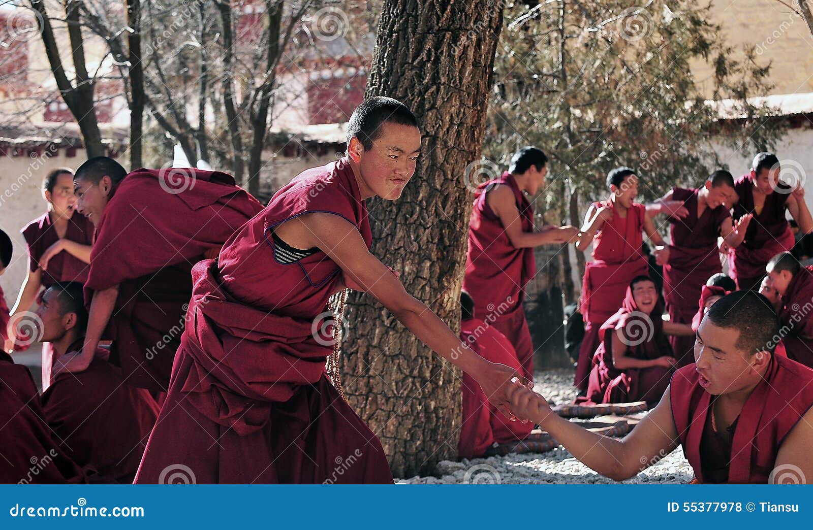 Debating monks in Tibet editorial stock photo. Image of debate - 55377978