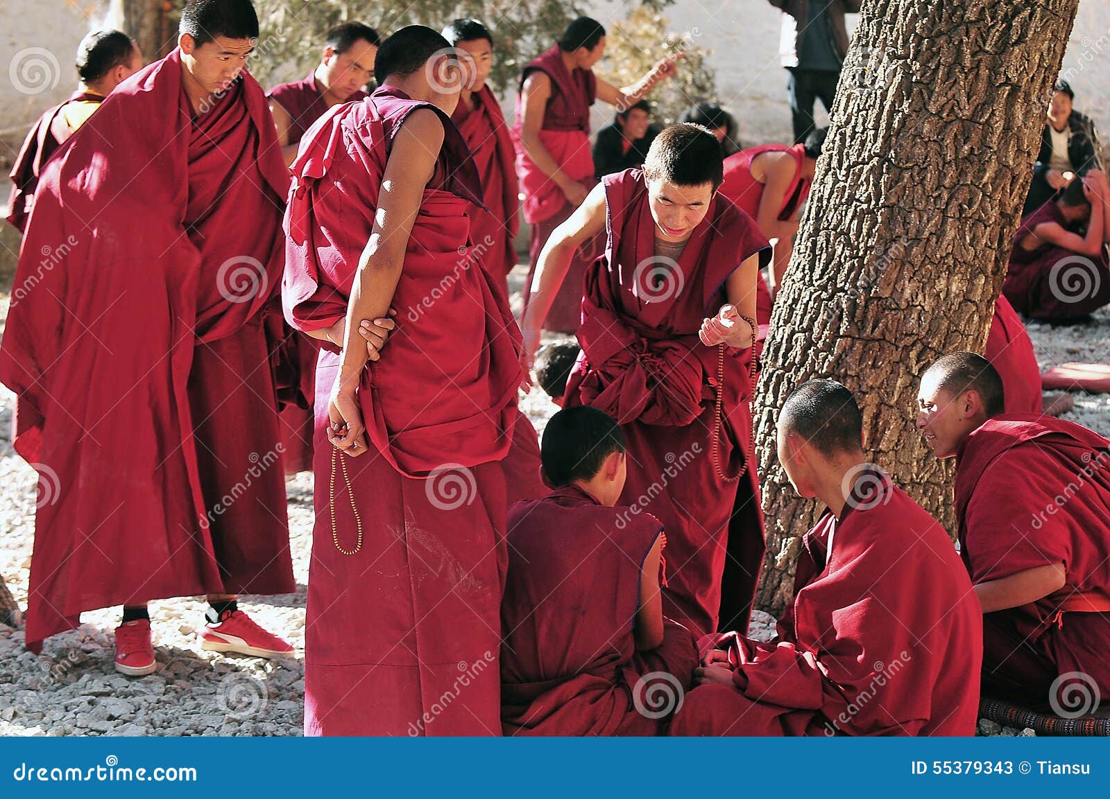 Debating monks in Tibet editorial stock photo. Image of beads - 55379343