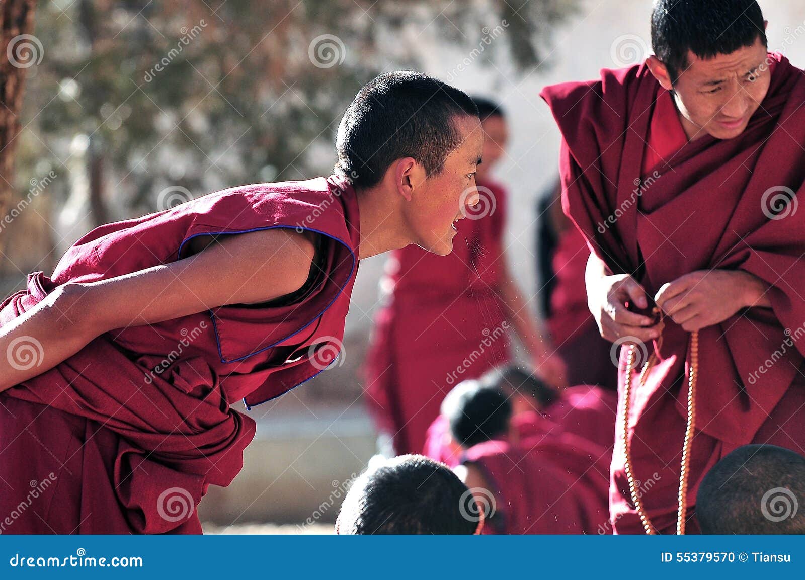 Debating monks in Tibet editorial image. Image of lhasa - 55379570