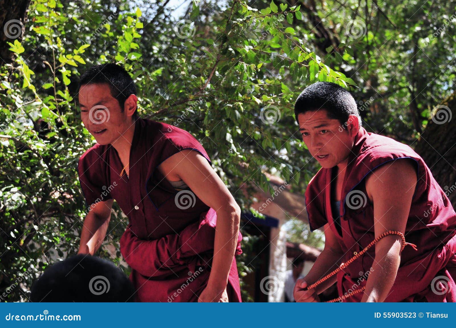 Debating monks in Tibet editorial stock photo. Image of arguing - 55903523