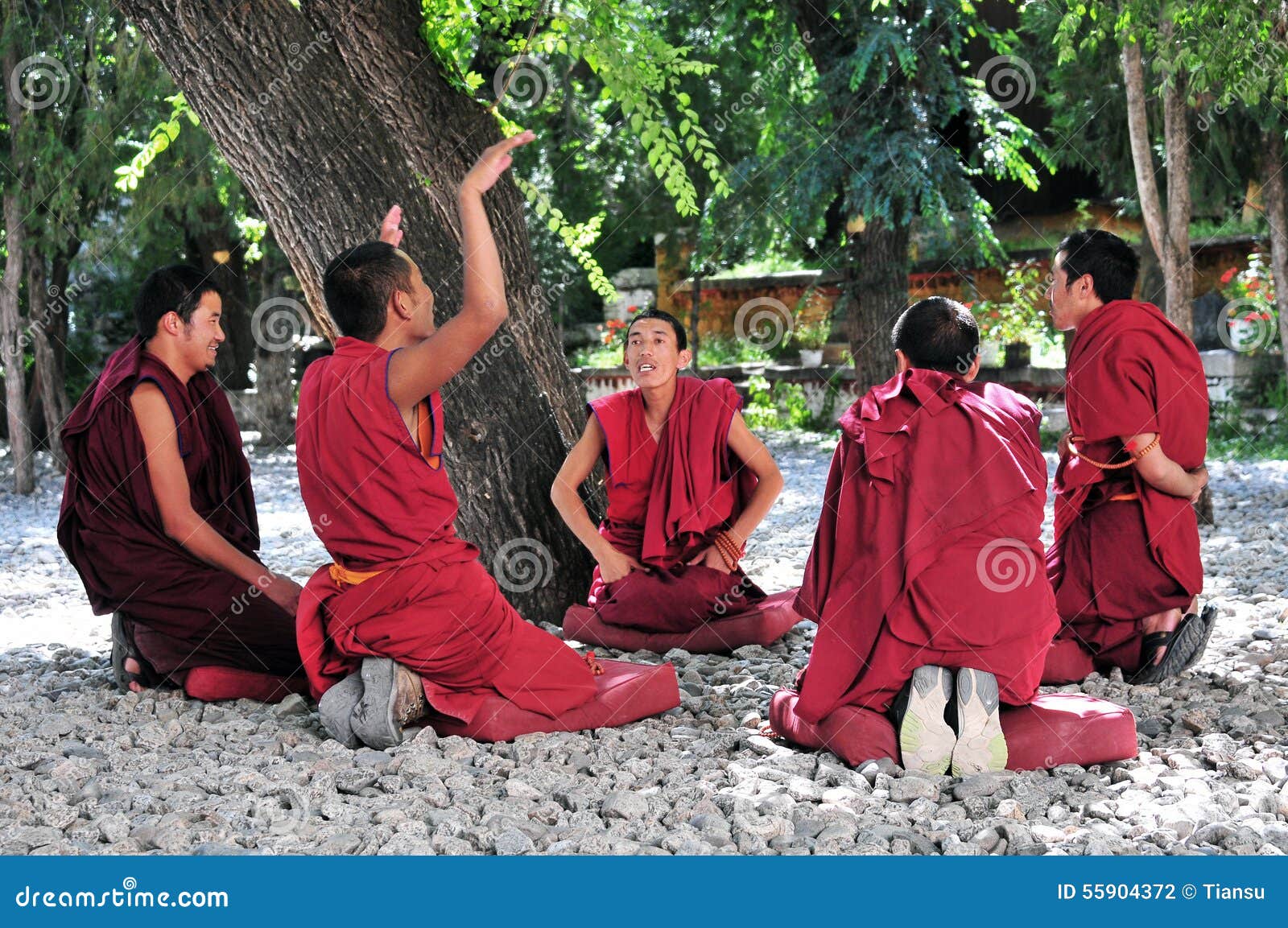 Debating monks in Tibet editorial photography. Image of monastery ...
