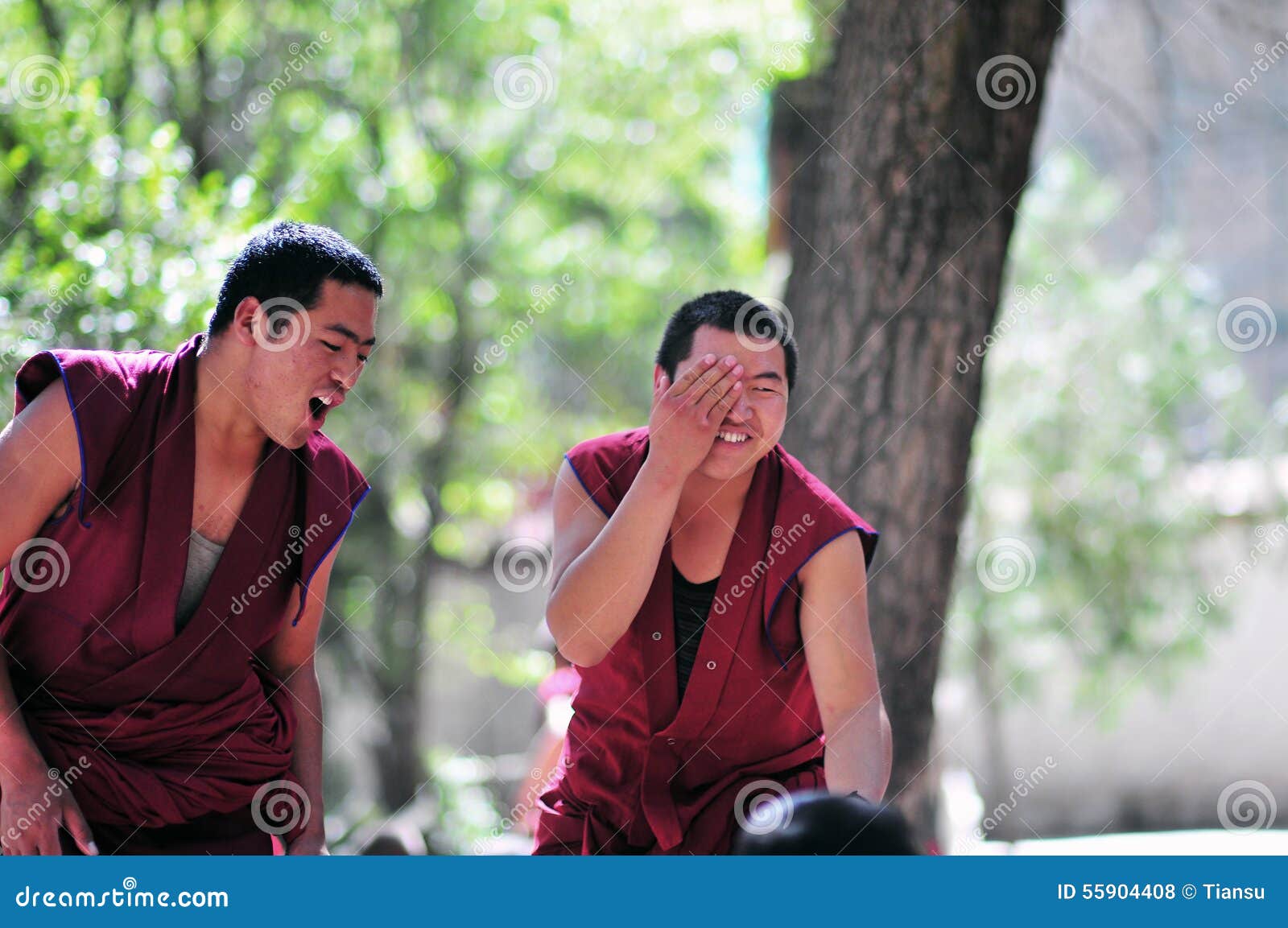Debating monks in Tibet editorial stock photo. Image of arguing - 55904408