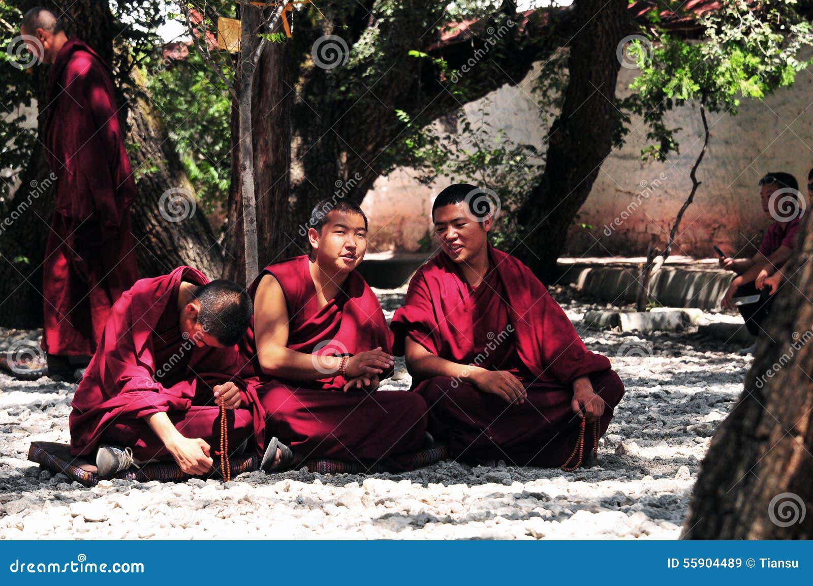 Debating monks in Tibet editorial stock image. Image of moot - 55904489