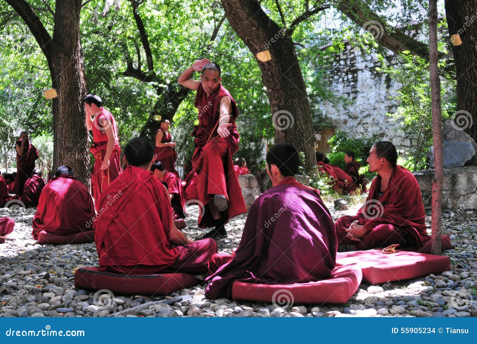 Debating monks in Tibet editorial stock image. Image of arguing - 55905234