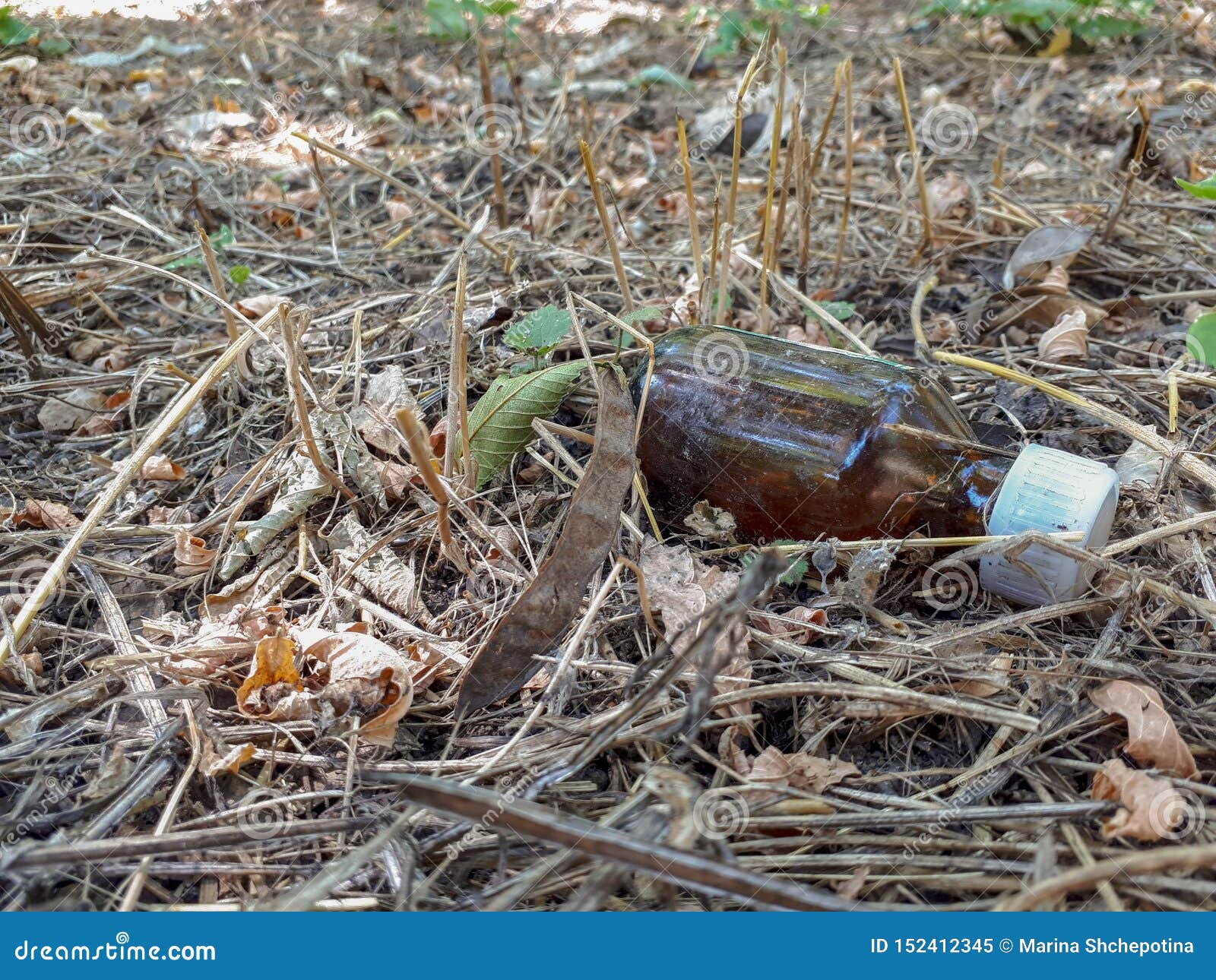 Debris and Broken Glass in the Dry Grass. Stock Image - Image of ...