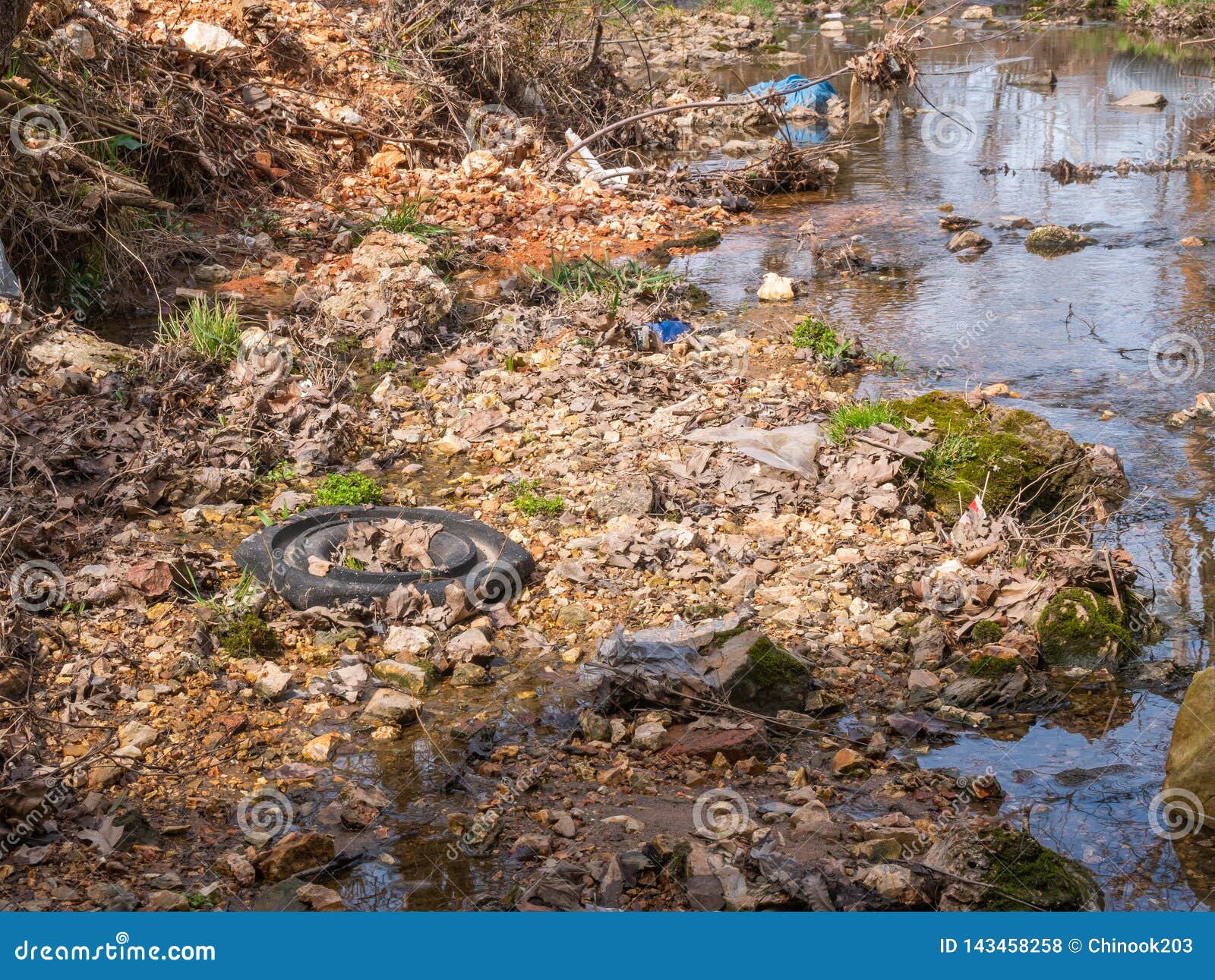 Debris in a Creek after Flooding Stock Photo - Image of trash, debris ...