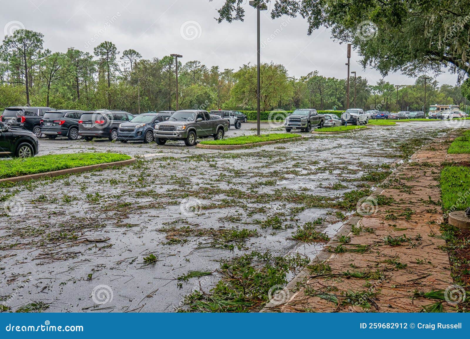 Debris Left on a Road after a Storm Editorial Photography - Image of ...