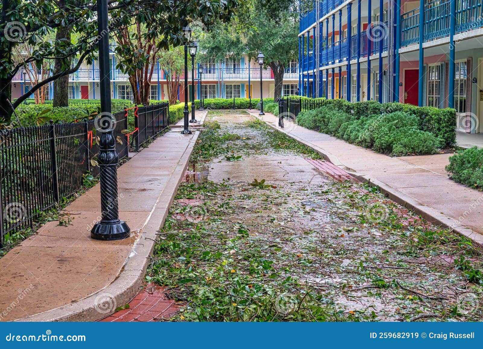 Debris Left on a Road after a Storm Stock Image - Image of loss ...
