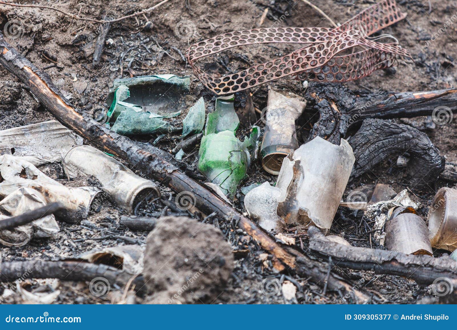 Debris Lies on the Ground in the Park after a Fire Stock Image - Image ...