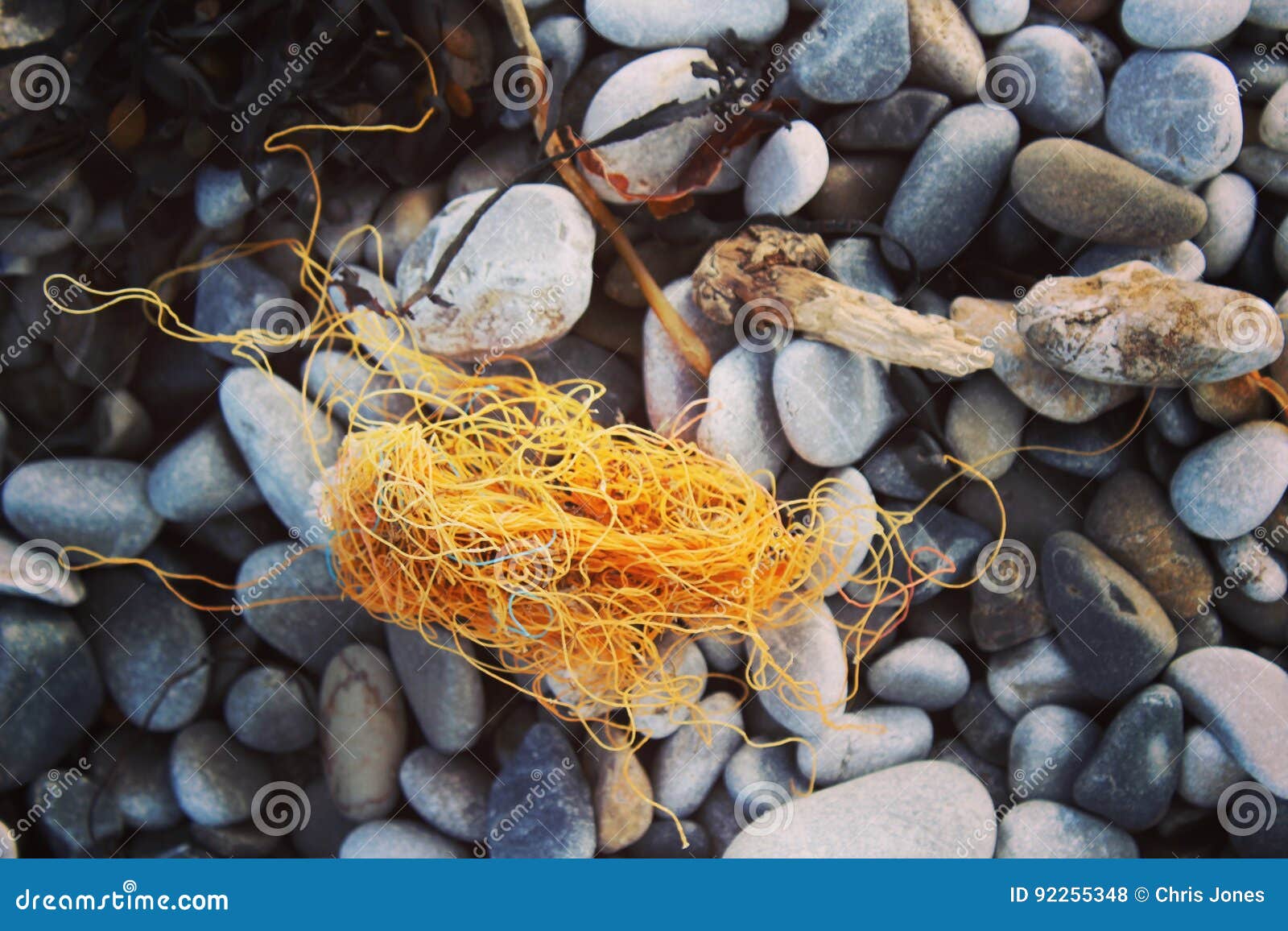 Beach flotsam stock photo. Image of beach, flotsam, debris - 92255348