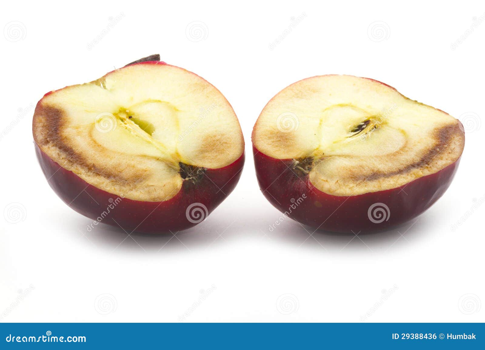 2,378 Decay Apple Photos - Free & Royalty-Free Stock Photos from Dreamstime