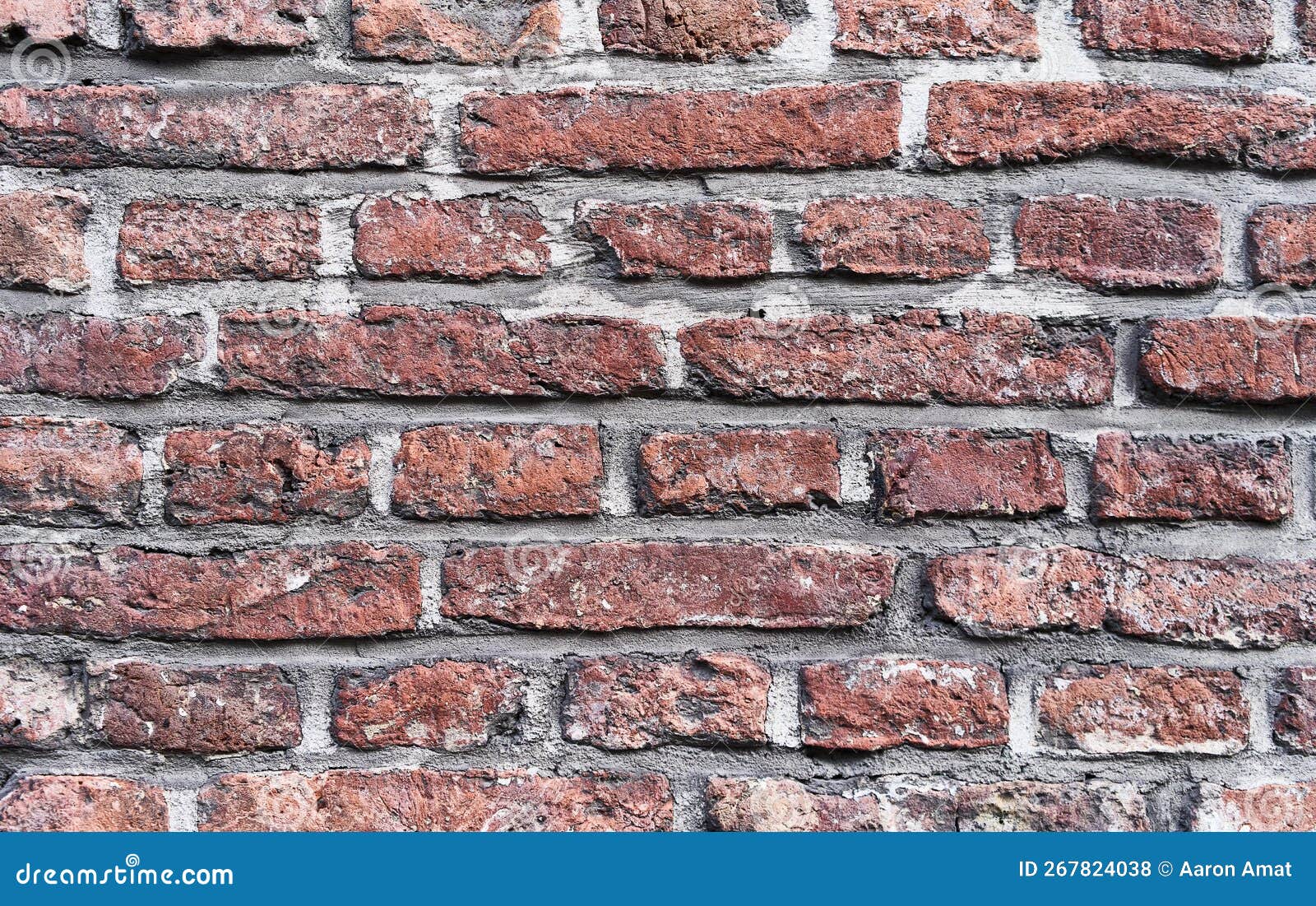 Decay Brick Wall Texture And Plant Stock Photography | CartoonDealer ...