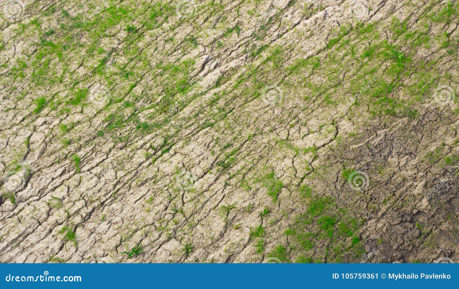 The Decay of Soil after a Drought, the Influence of an Aggressive ...