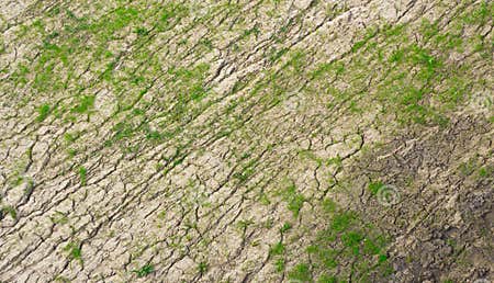 The Decay of Soil after a Drought, the Influence of an Aggressive ...