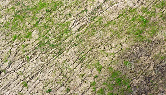 The Decay of Soil after a Drought, the Influence of an Aggressive ...