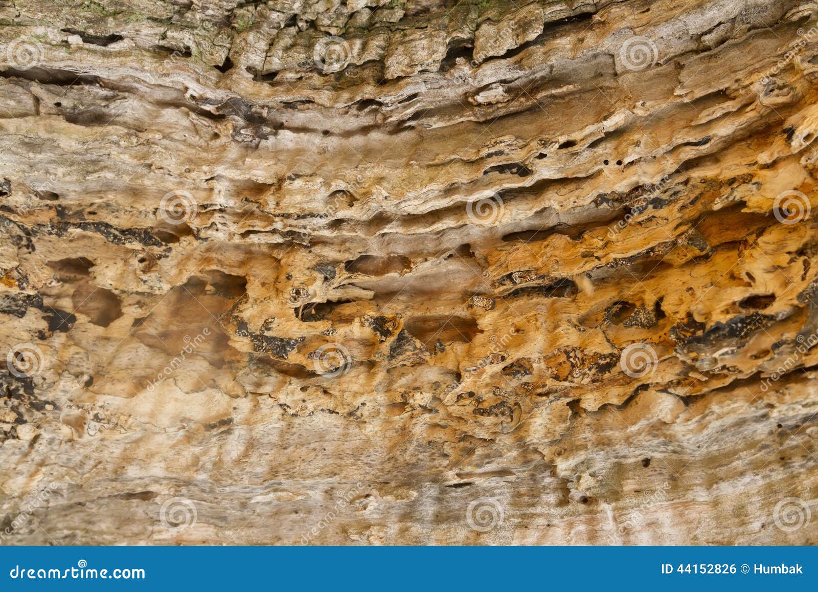 Decay wood stock photo. Image of background, weathered - 44152826