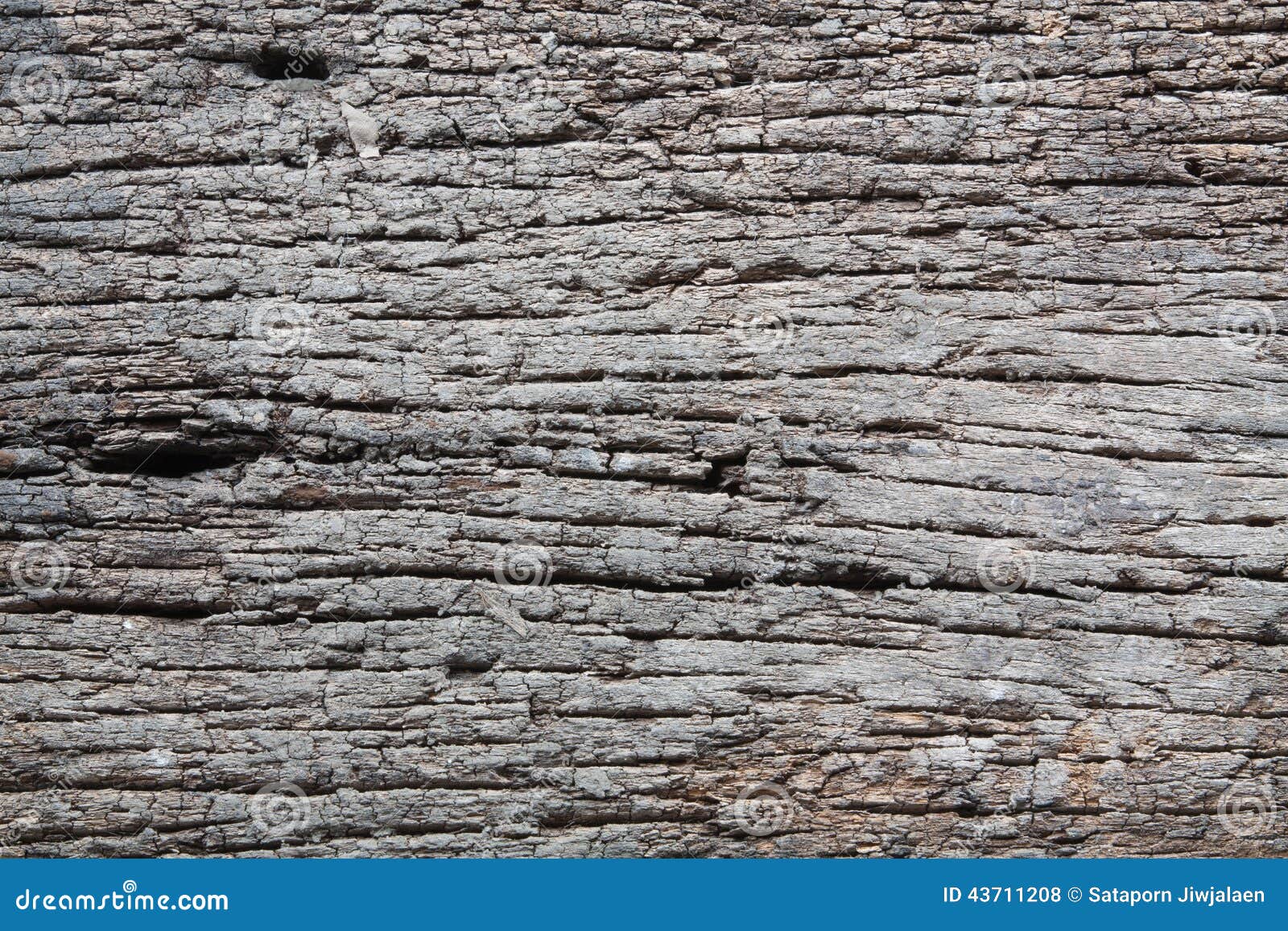 Decay wood stock photo. Image of effects, arts, grunge - 43711208