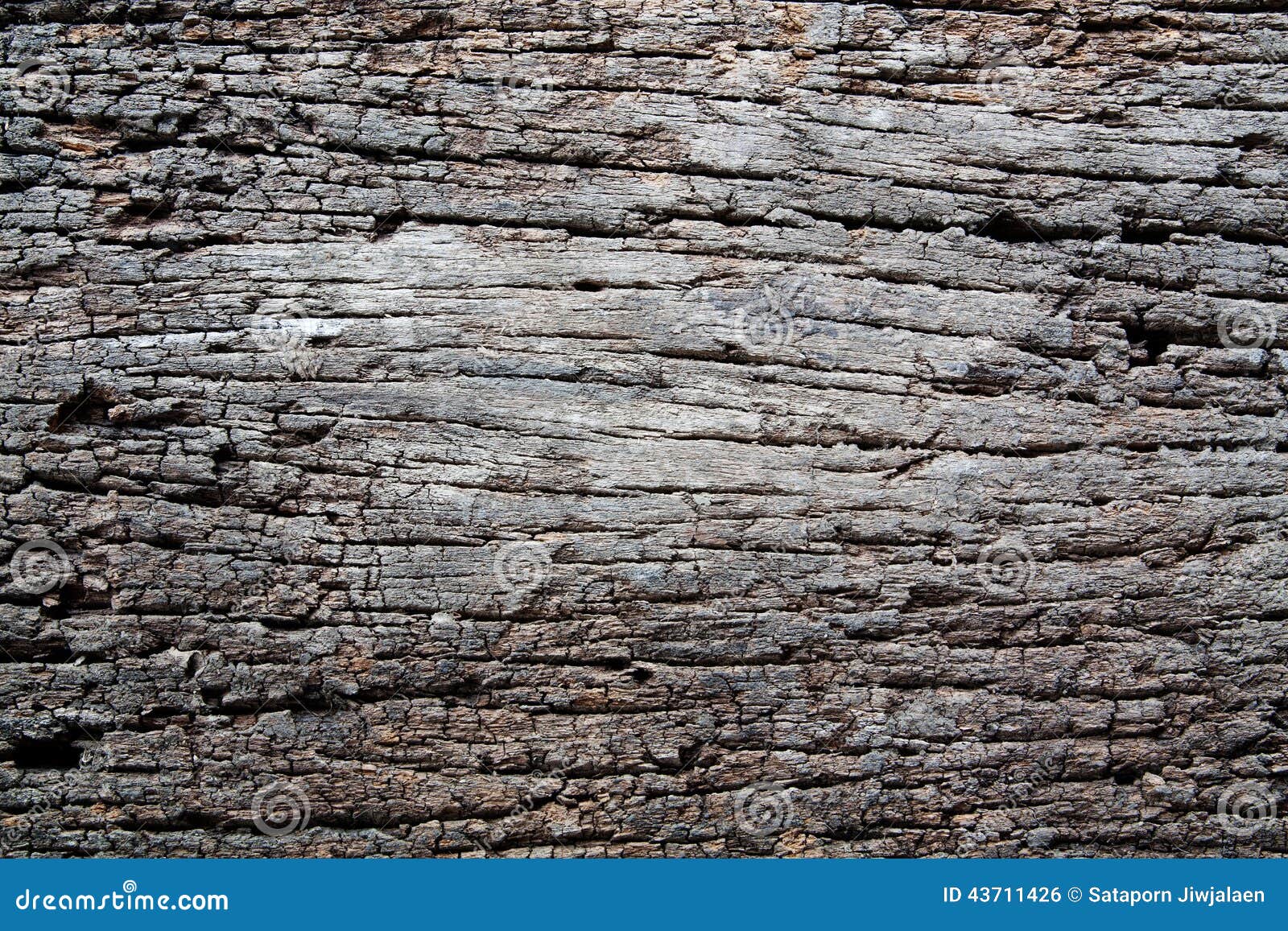 Decay wood stock photo. Image of exterior, organization - 43711426