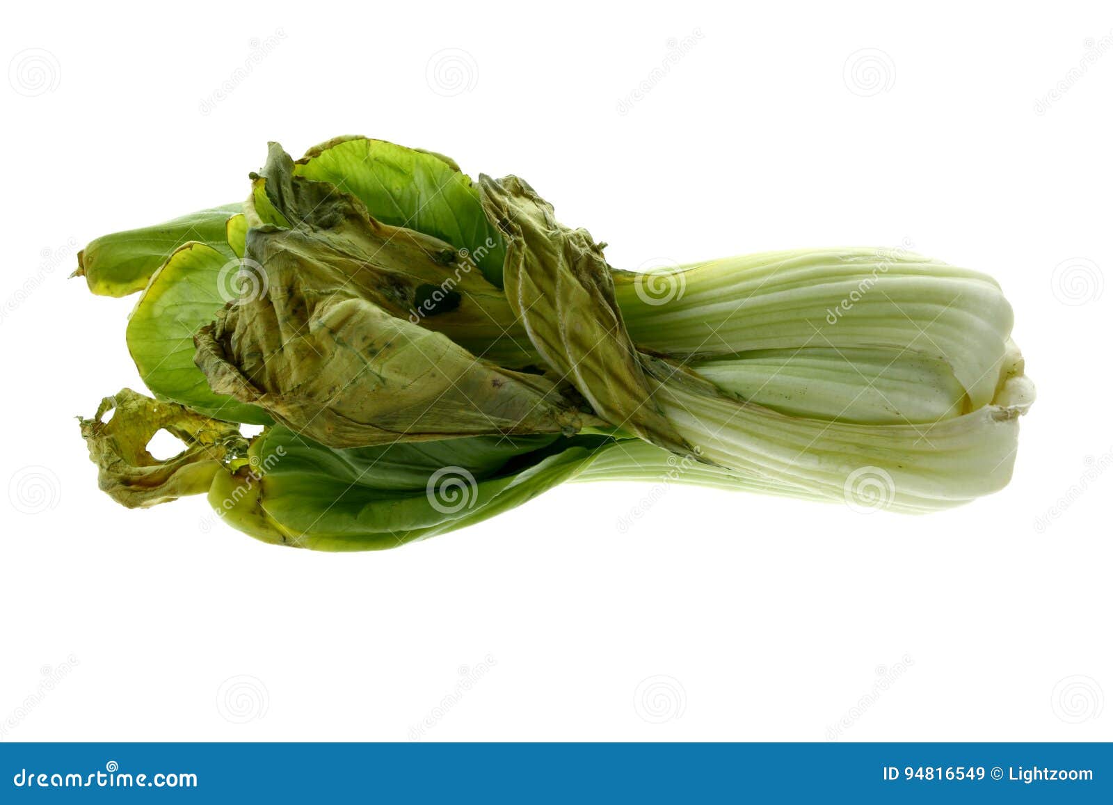Decayed Chinese Cabbage stock image. Image of decomposed - 94816549