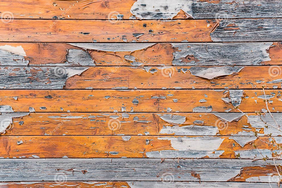 Decayed Peeling Wood Plank Texture Stock Image - Image of coat ...
