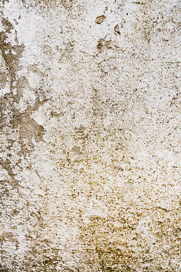 Decayed Plaster Texture with Peeling Paint Stock Image - Image of flake ...