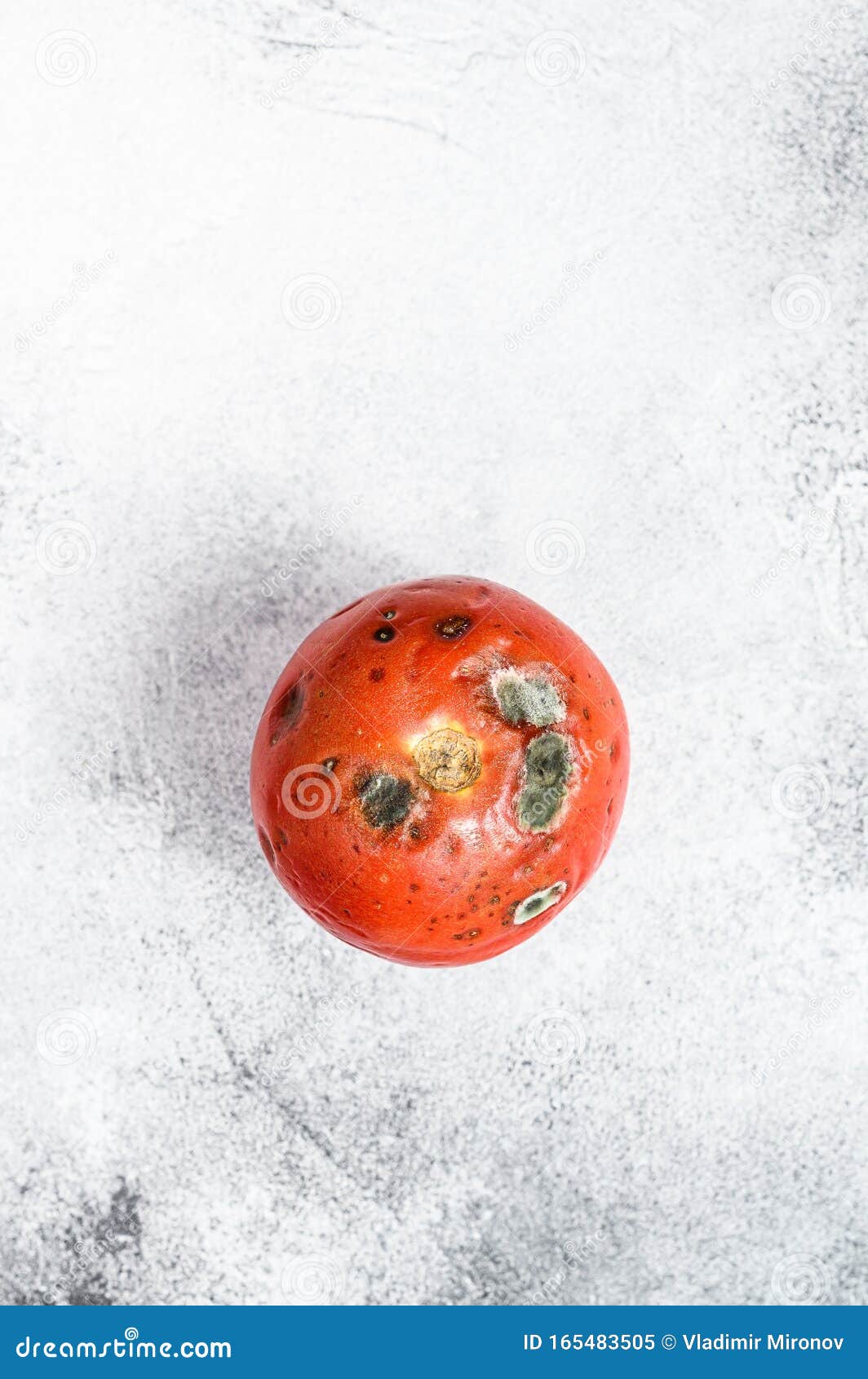 Decayed Rotten Tomato. Gray Background. Top View Stock Image - Image of ...
