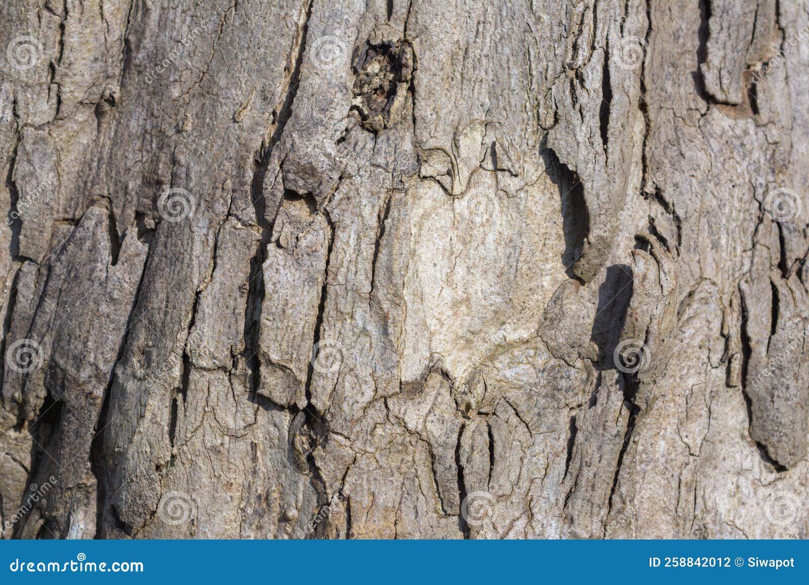 Decayed Timber Background Full Frame Stock Photo - Image of grain ...
