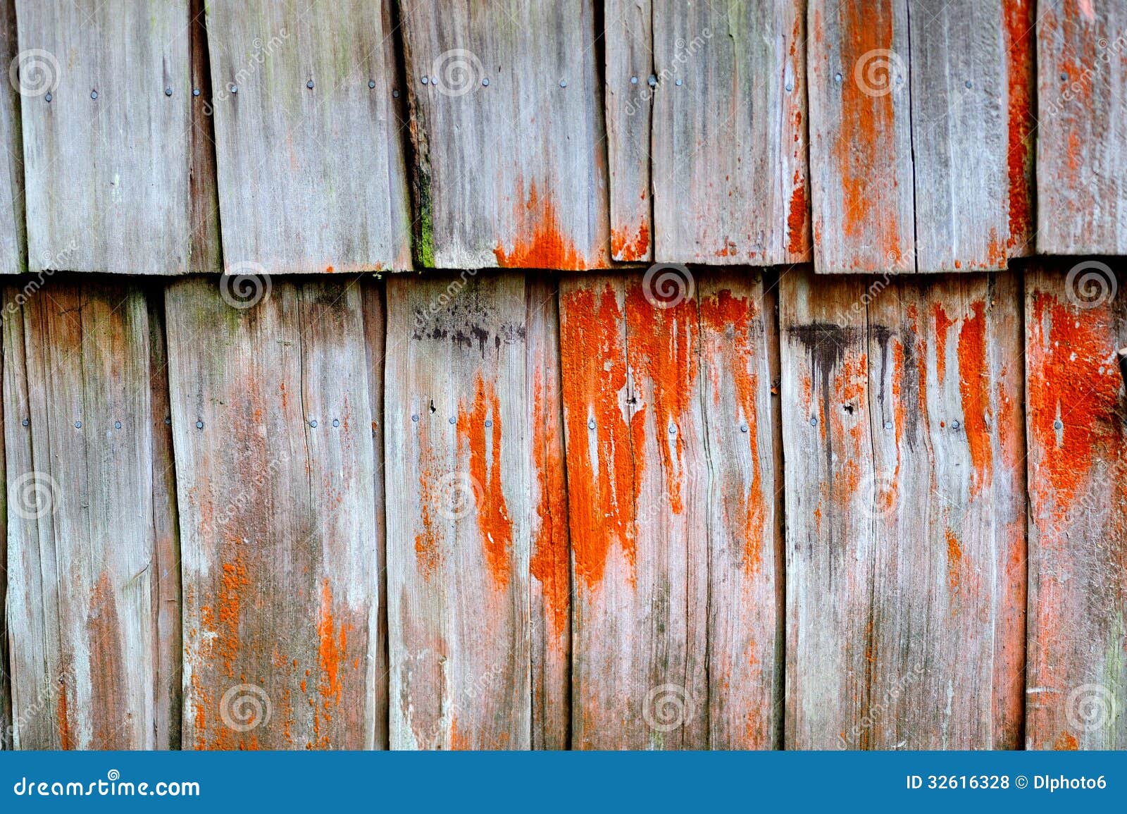 Decayed Timber stock photo. Image of wood, deterioration - 32616328
