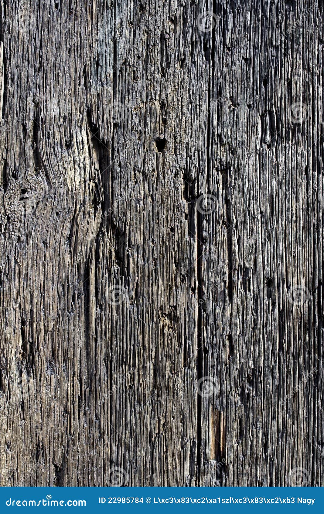 Decayed timber surface stock photo. Image of cracked - 22985784