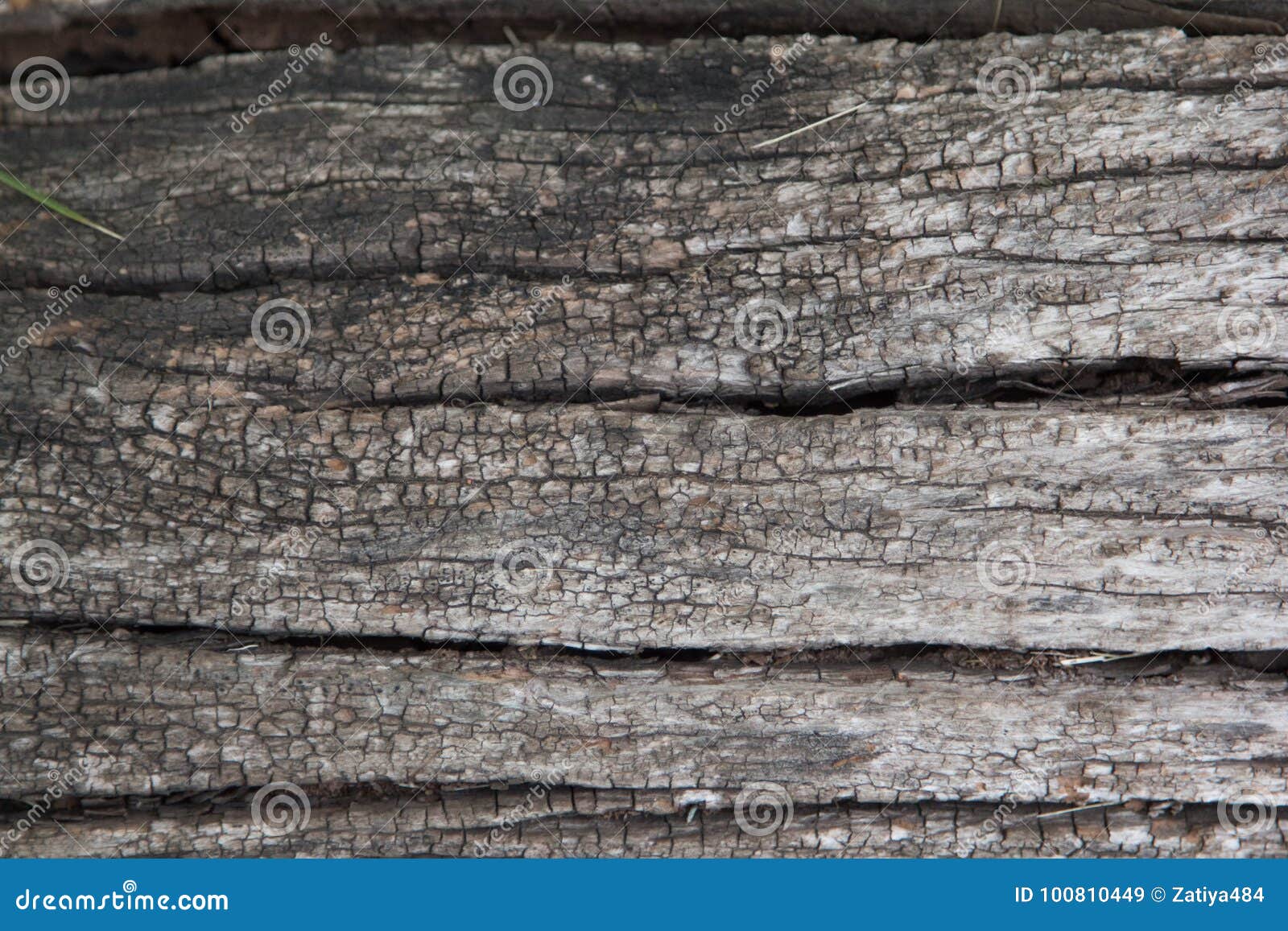 Decayed wood texture stock image. Image of wood, cracks - 100810449