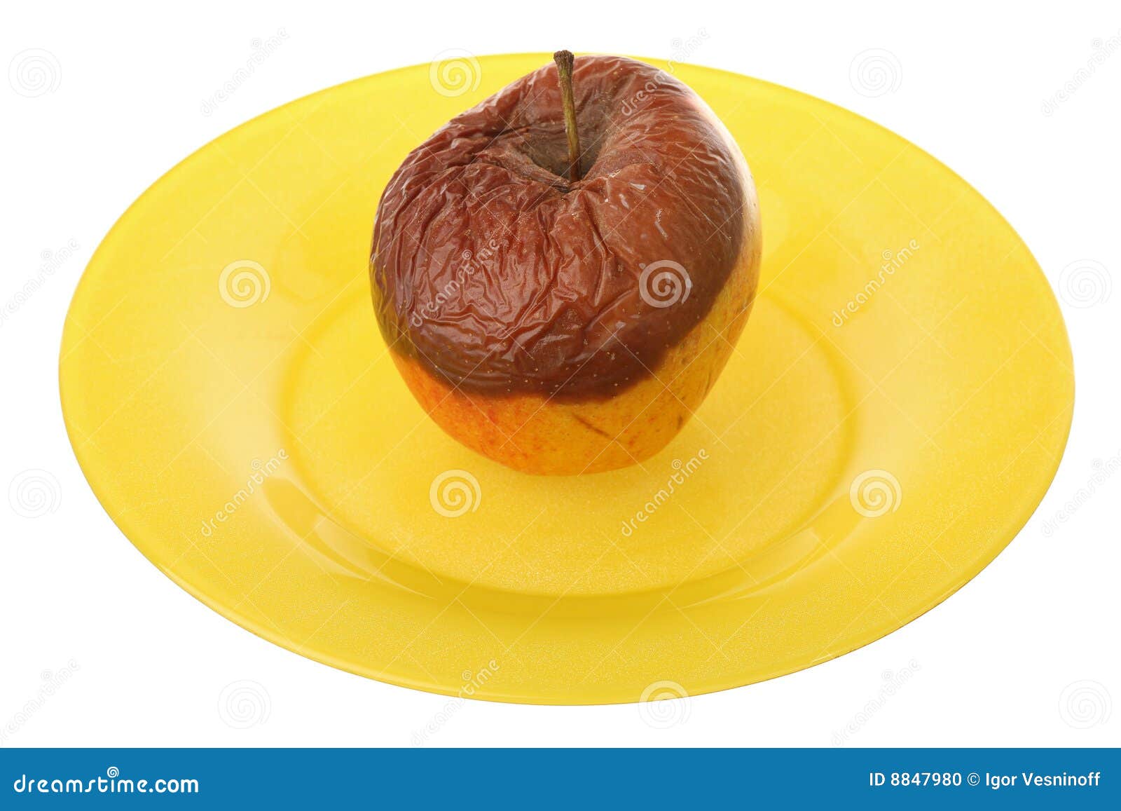 Decaying apple stock photo. Image of yellow, small, fruit - 8847980