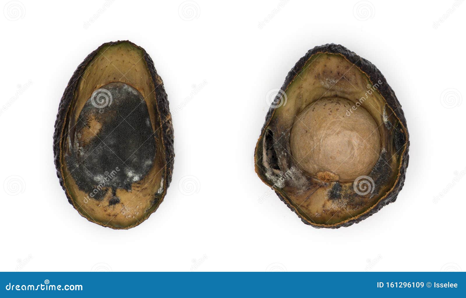 Decaying Avocado Slices Against White Background Stock Image - Image of ...