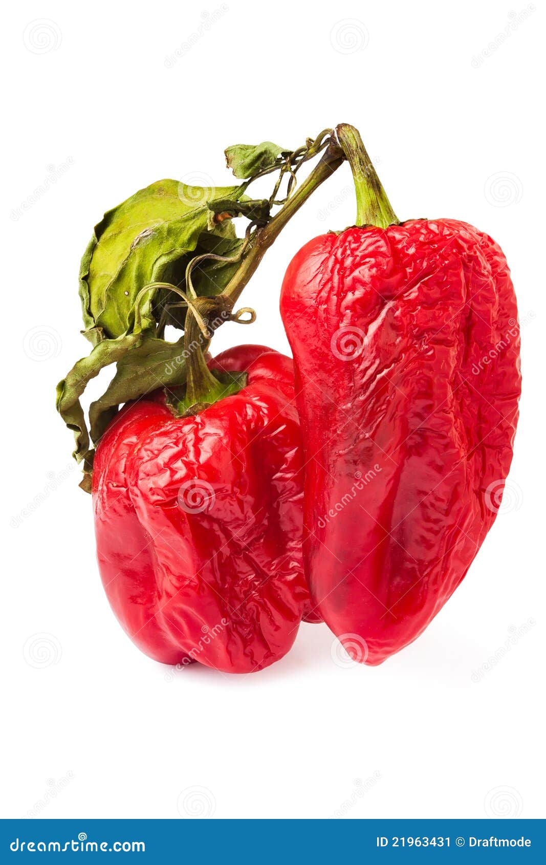Decaying Bell Peppers Stock Photos - Free & Royalty-Free Stock Photos ...