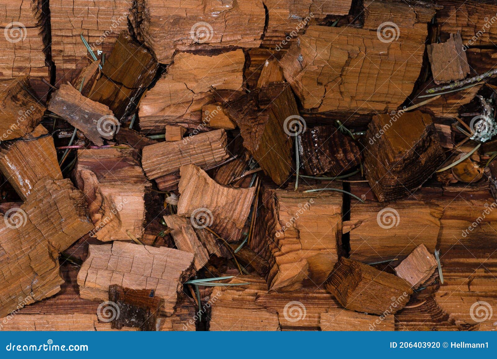 Decaying Wood stock photo. Image of northwest, wooden - 206403920