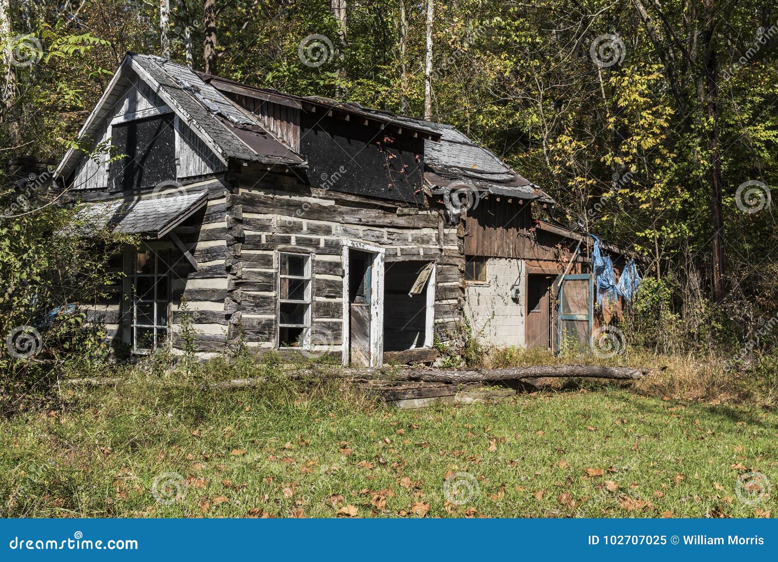 Decaying cabin. stock image. Image of rustic, decaying - 102707025