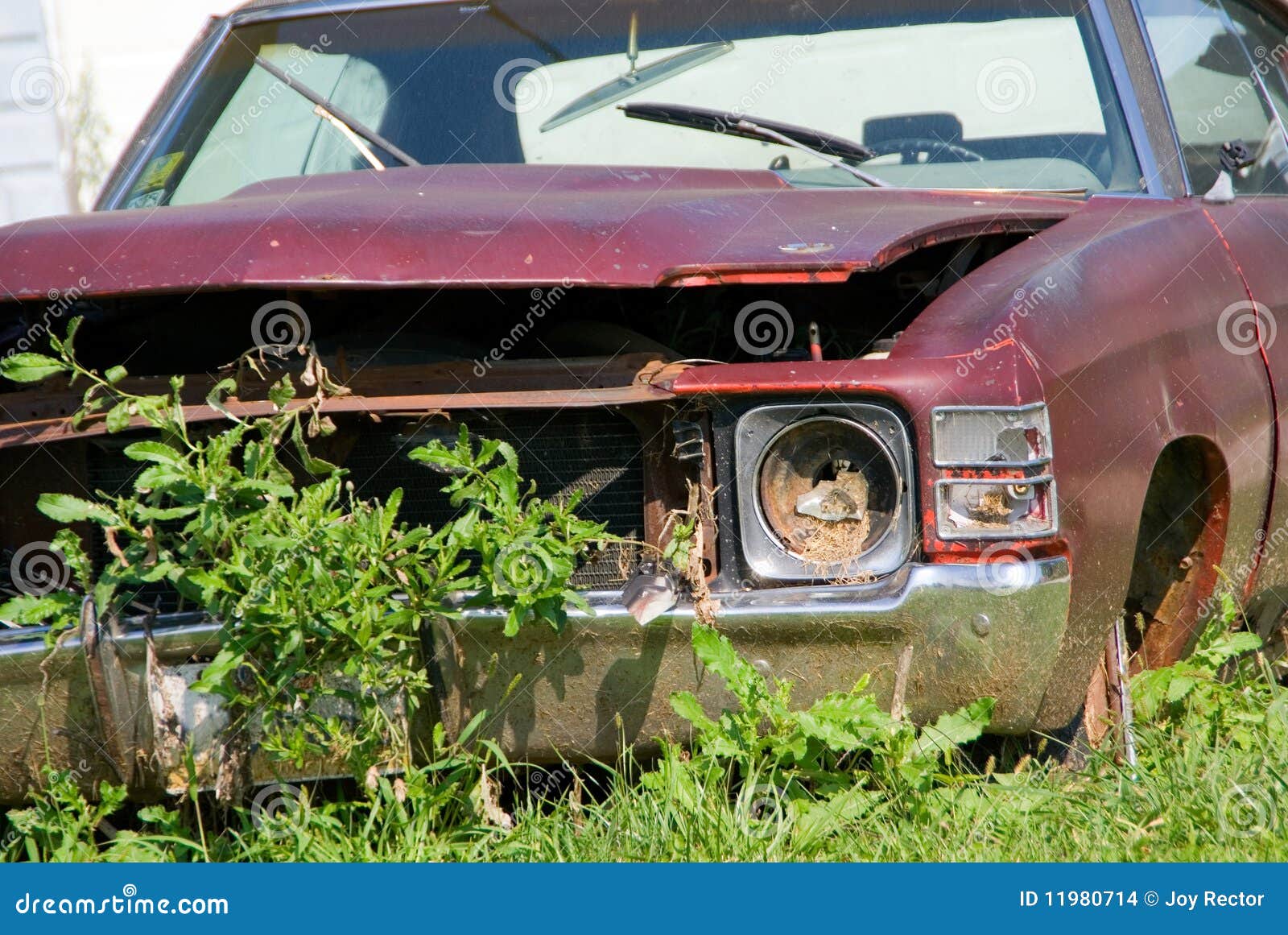 Decaying Car stock photo. Image of junk, wreck, forgotten - 11980714