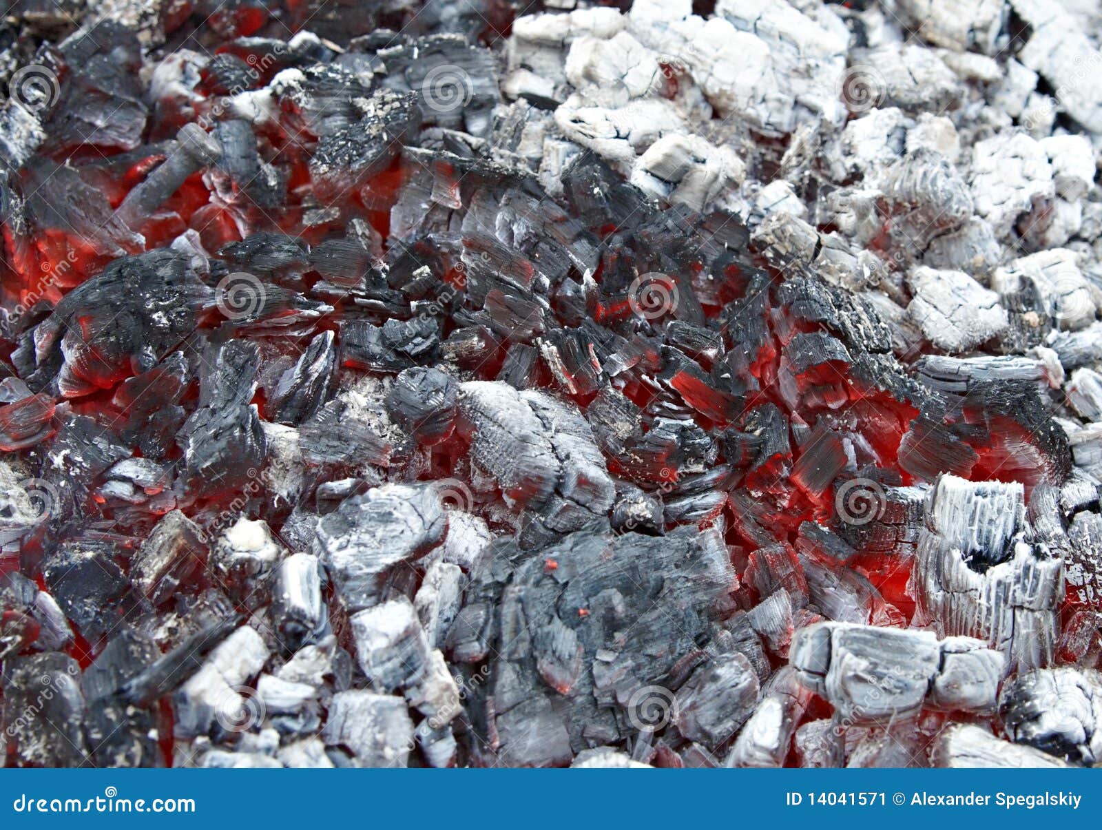 Decaying coals stock image. Image of shadow, tree, white - 14041571