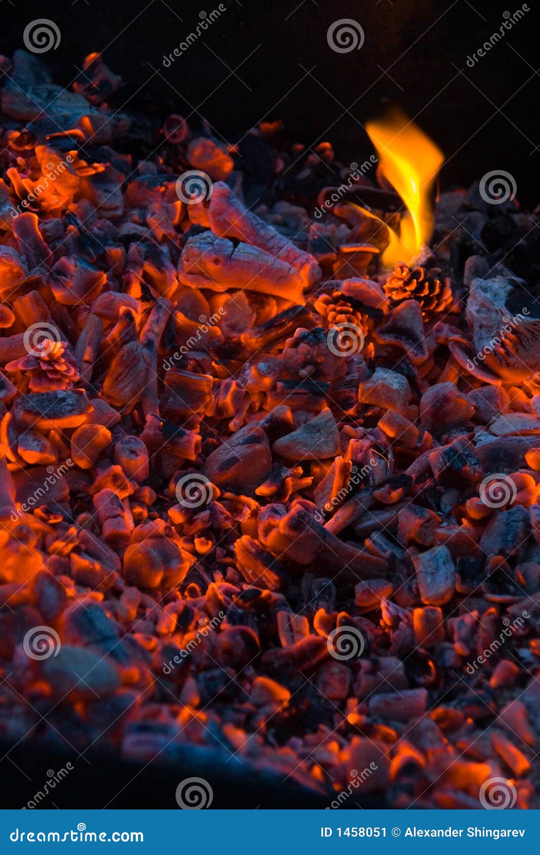Decaying coals stock image. Image of tree, reflex, luminescence - 1458051