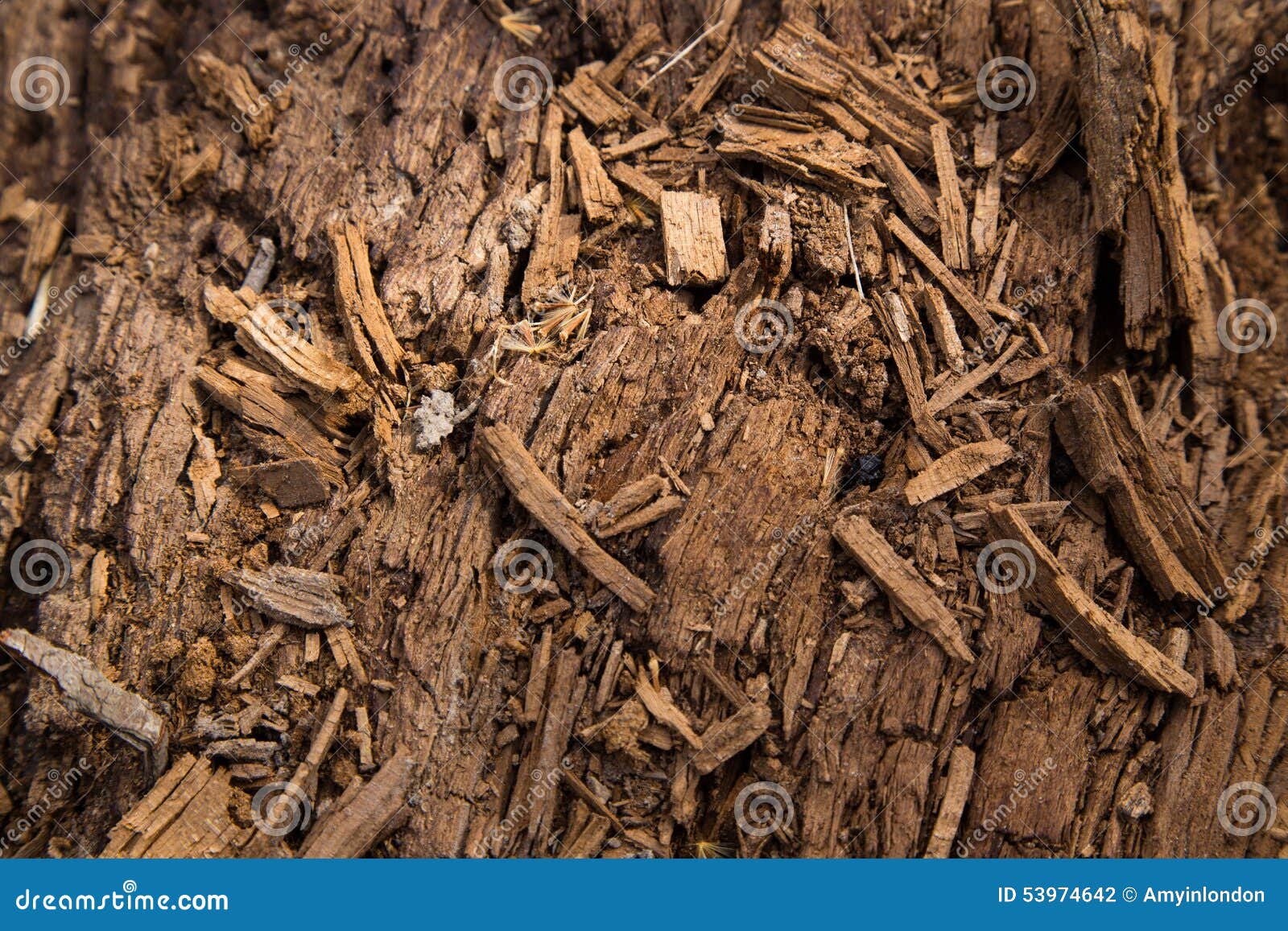 Decaying log background stock photo. Image of decay, crumble - 53974642