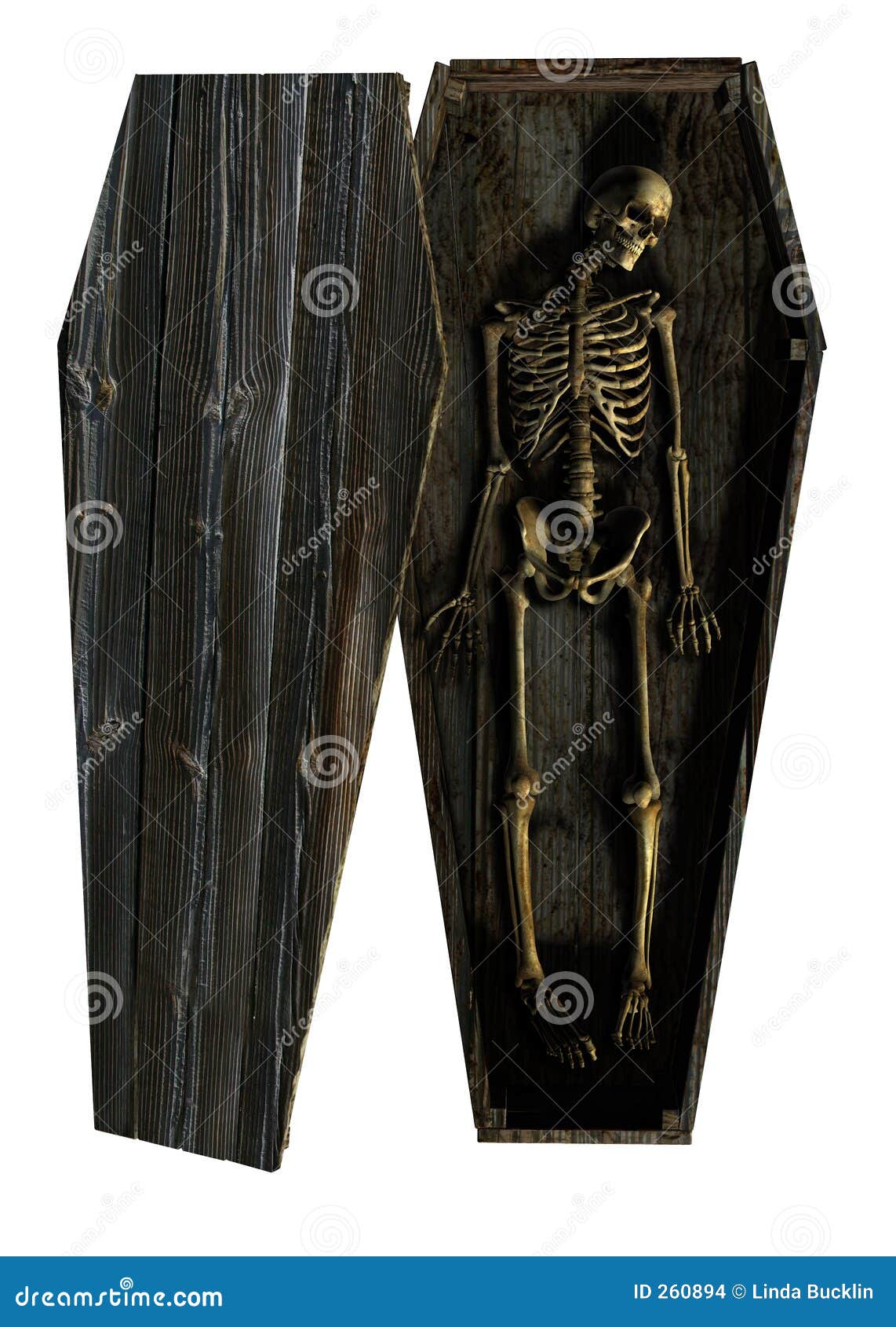Decaying Skeleton in Coffin - Includes Clipping Path Stock Illustration ...