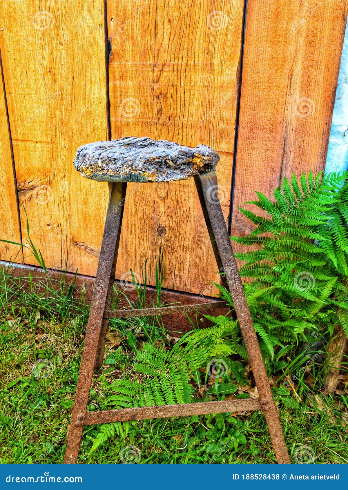 Decaying Stool Rusty Metal Legs Stock Photo - Image of metal, wood ...