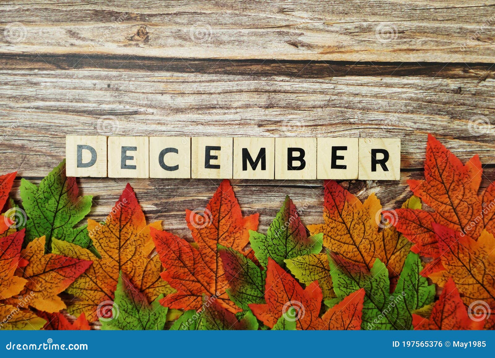 December Alphabet Letter with Maple Leaves Frame on Wooden Background ...
