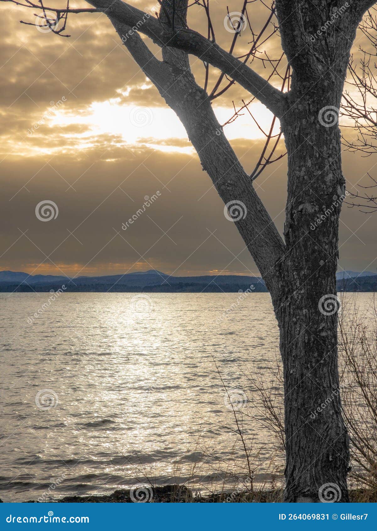 December end of day sky stock image. Image of canada - 264069831