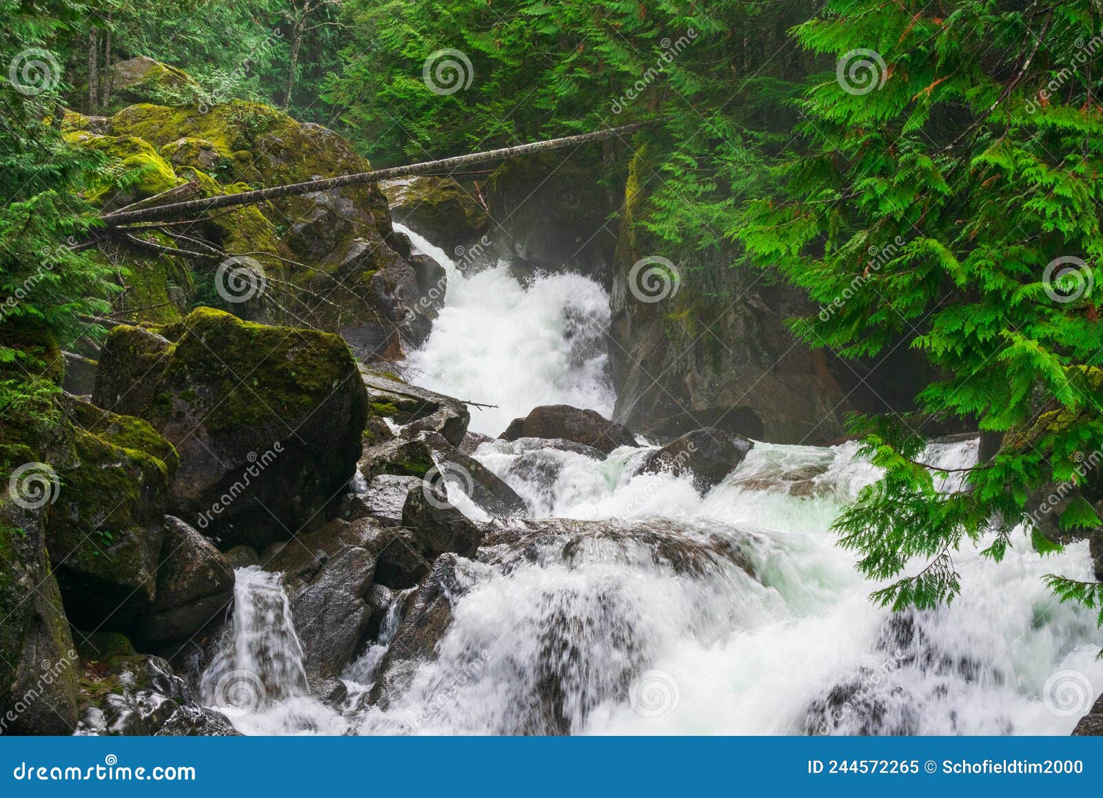 Deception Falls, Stevens Pass, Washington Stock Image - Image of ...