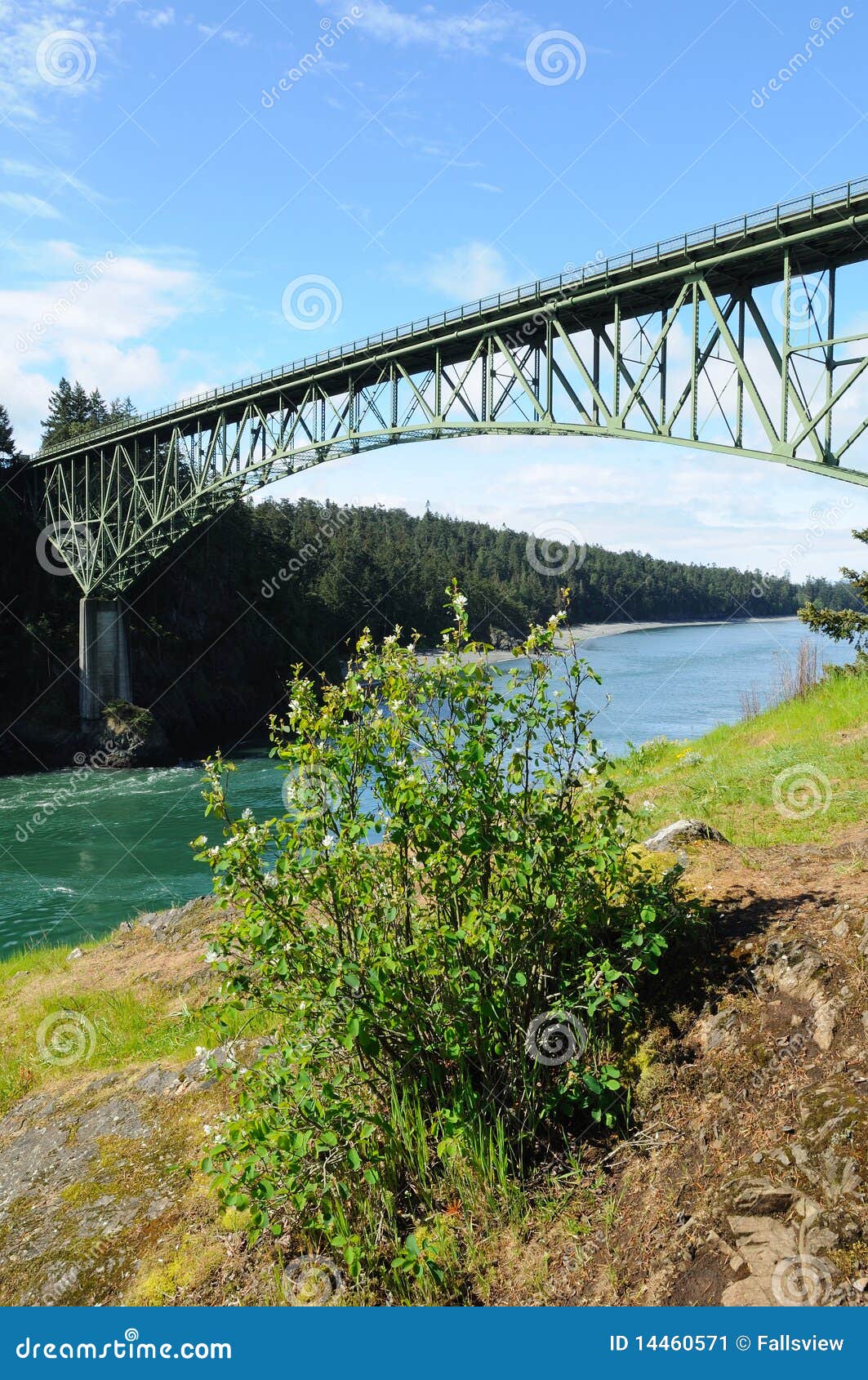 Deception pass bridge stock image. Image of scenery, scenic - 14460571