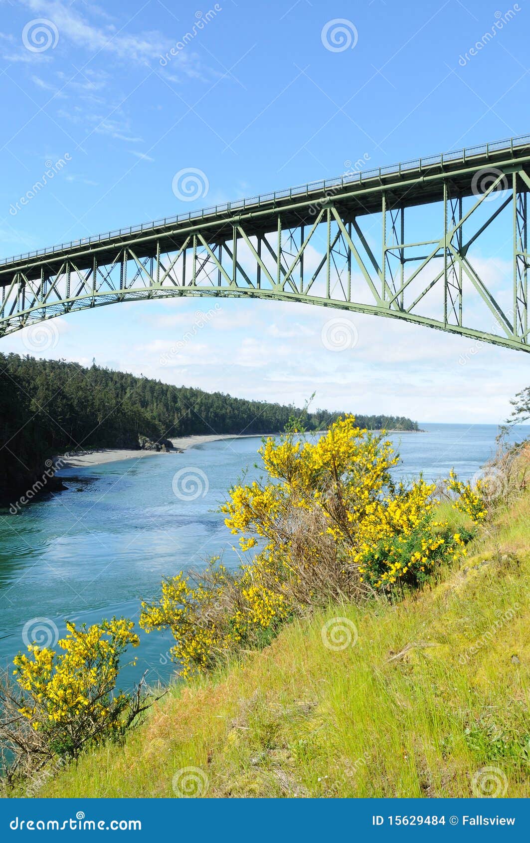 Deception pass bridge stock photo. Image of forest, nature - 15629484