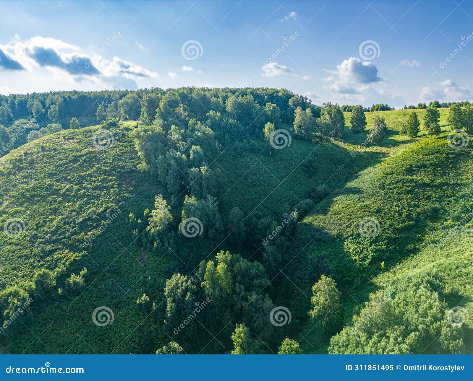 Deciduous Forest Covering Hilly Terrain Stock Image - Image of ...