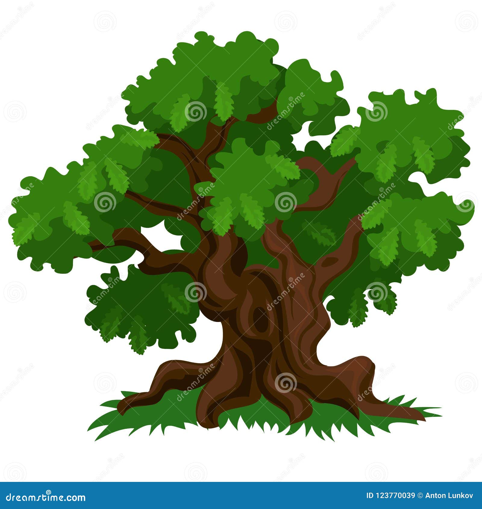 A Deciduous Oak Tree With Green Leaves And Fresh Grass Isolated On ...