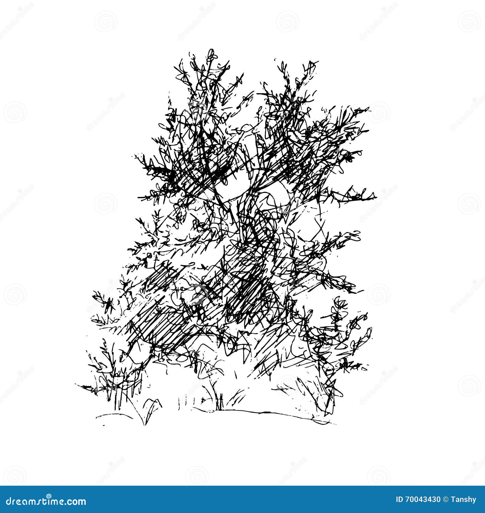 Deciduous Tree Graphic Design Sketch Pen Ink Stock Vector ...