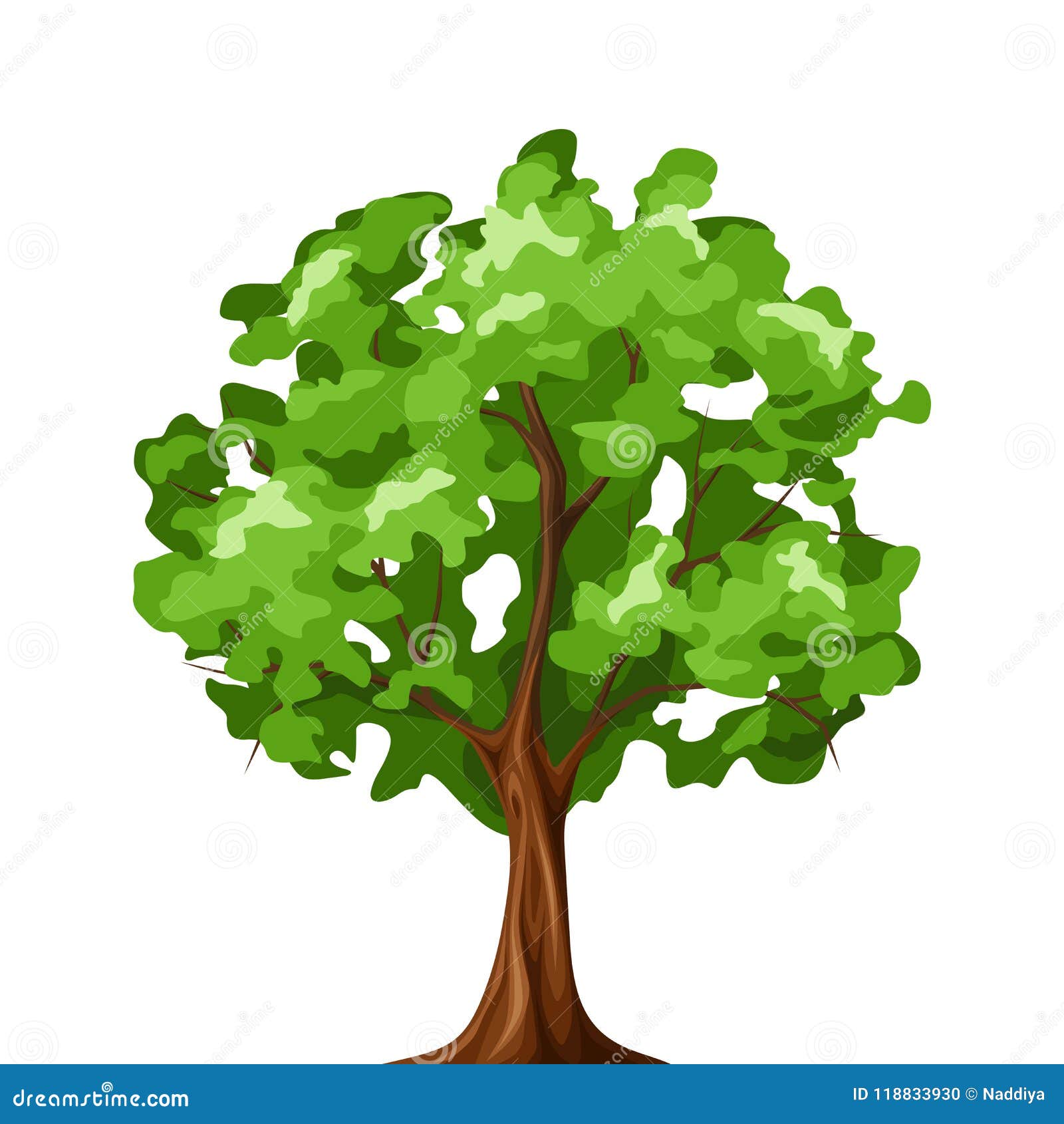 Deciduous Tree Isolated On White. Vector Illustration. | CartoonDealer ...